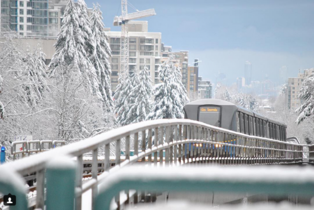 My TransLink – February 7, 2017 - The Buzzer blog