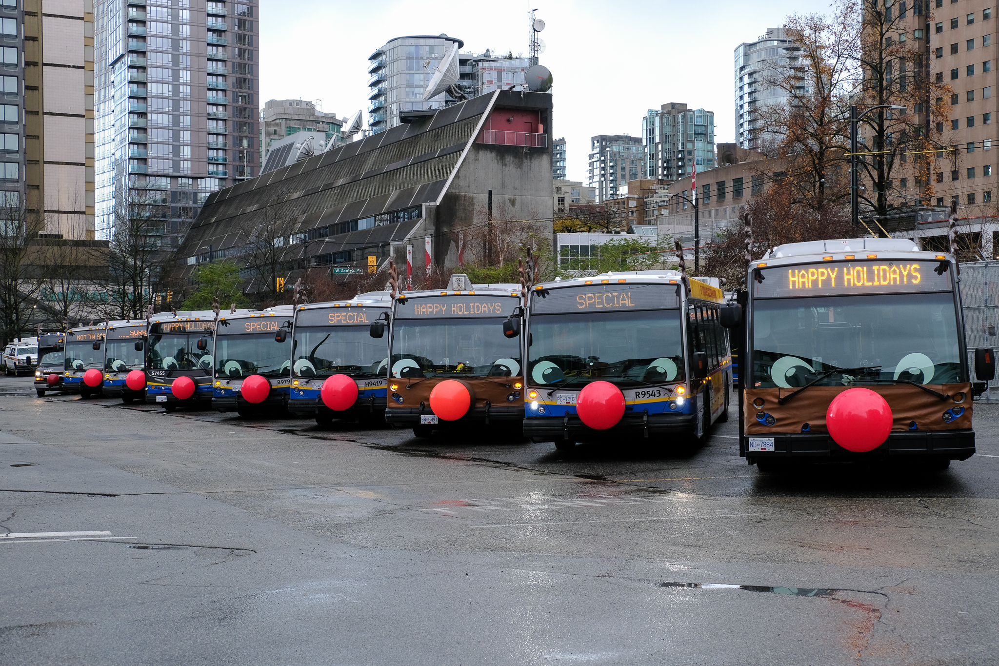 Reindeer Bus, explained - The Buzzer blog