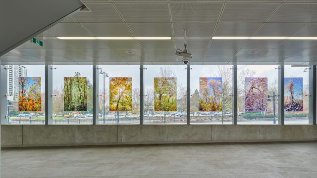 Check out this new public art installation at SkyTrain’s Lafarge Lake ...